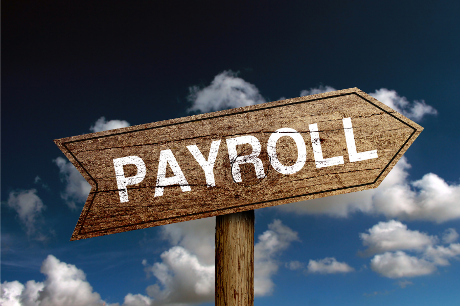 Durham Payroll Services - Paymaster Pro